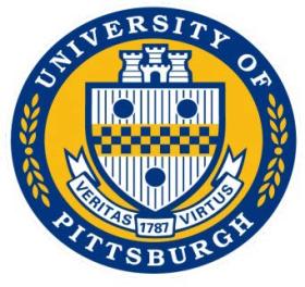 2024 Three Rivers Otolaryngology Update | UPMC - Center for Continuing ...
